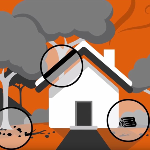 Upcoming events - Macquarie Regional Library