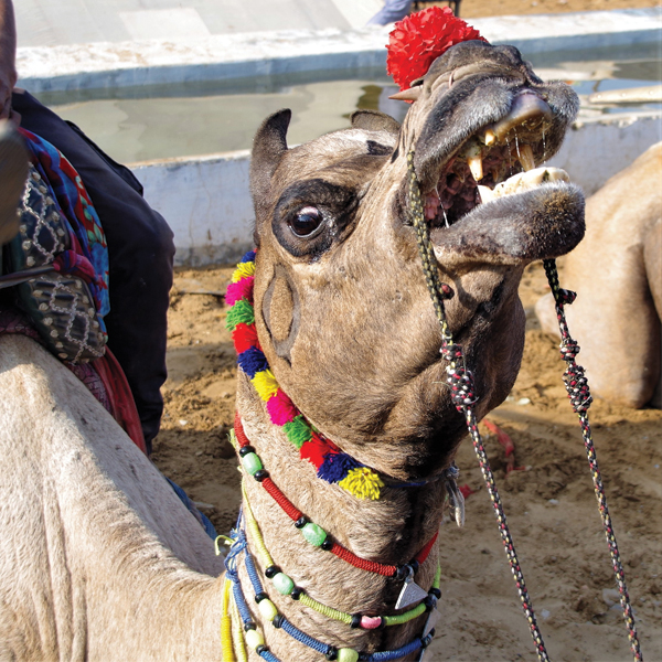Book Launch and Author Talk with Bill Stanford at Narromine - Macquarie ...
